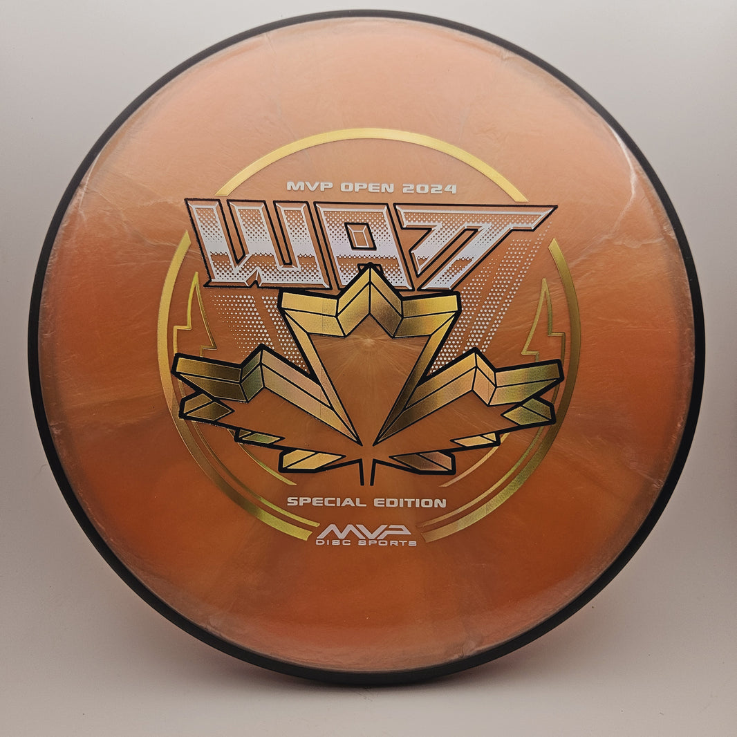 Joe and Rob Disc Golf